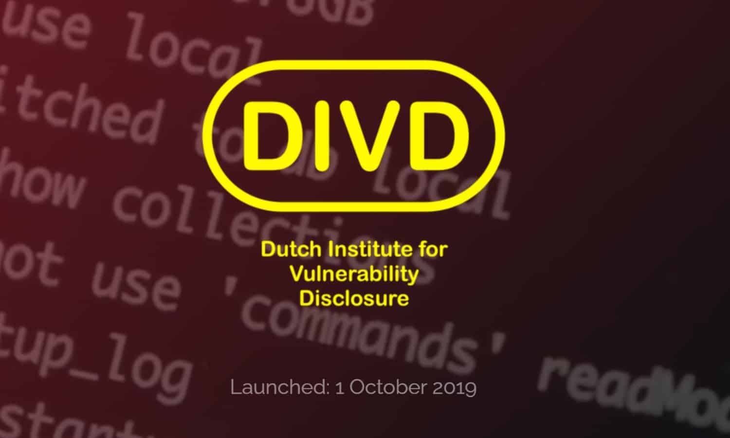 Kabinet overweegt staatssteun voor ethische hackers van DIVD - Techzine.nl