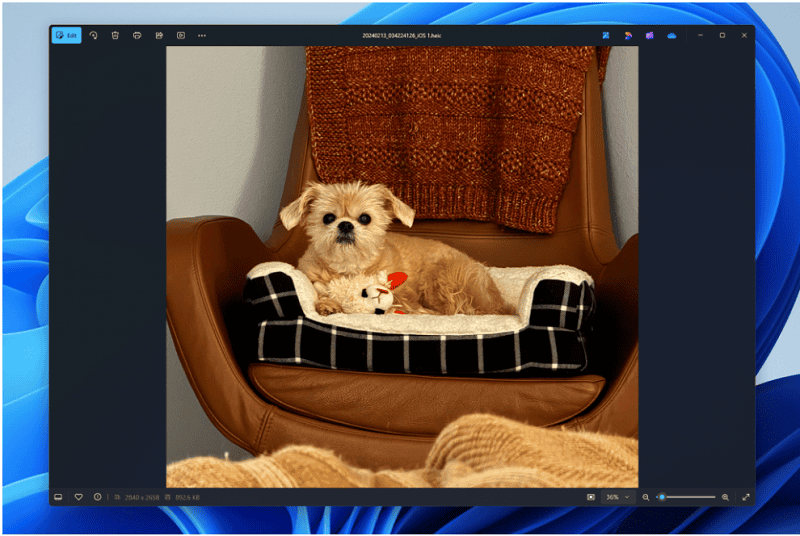 Foto-app in Windows 11-preview op de schop genomen - Techzine.nl